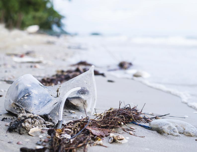 Un mundo contaminado - Mi Devocional