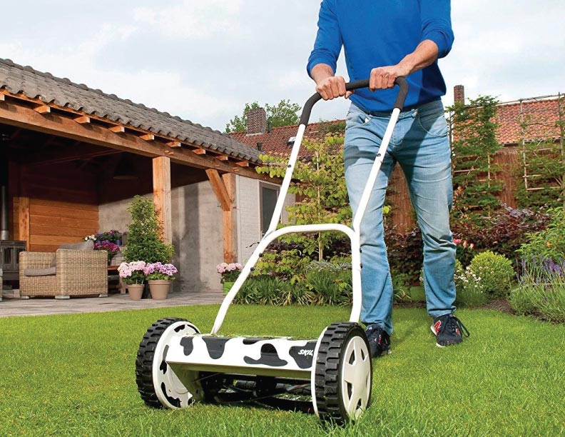 Haz cosas inútiles - Mi Devocional