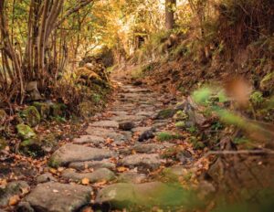 sendero - Mi Devocional